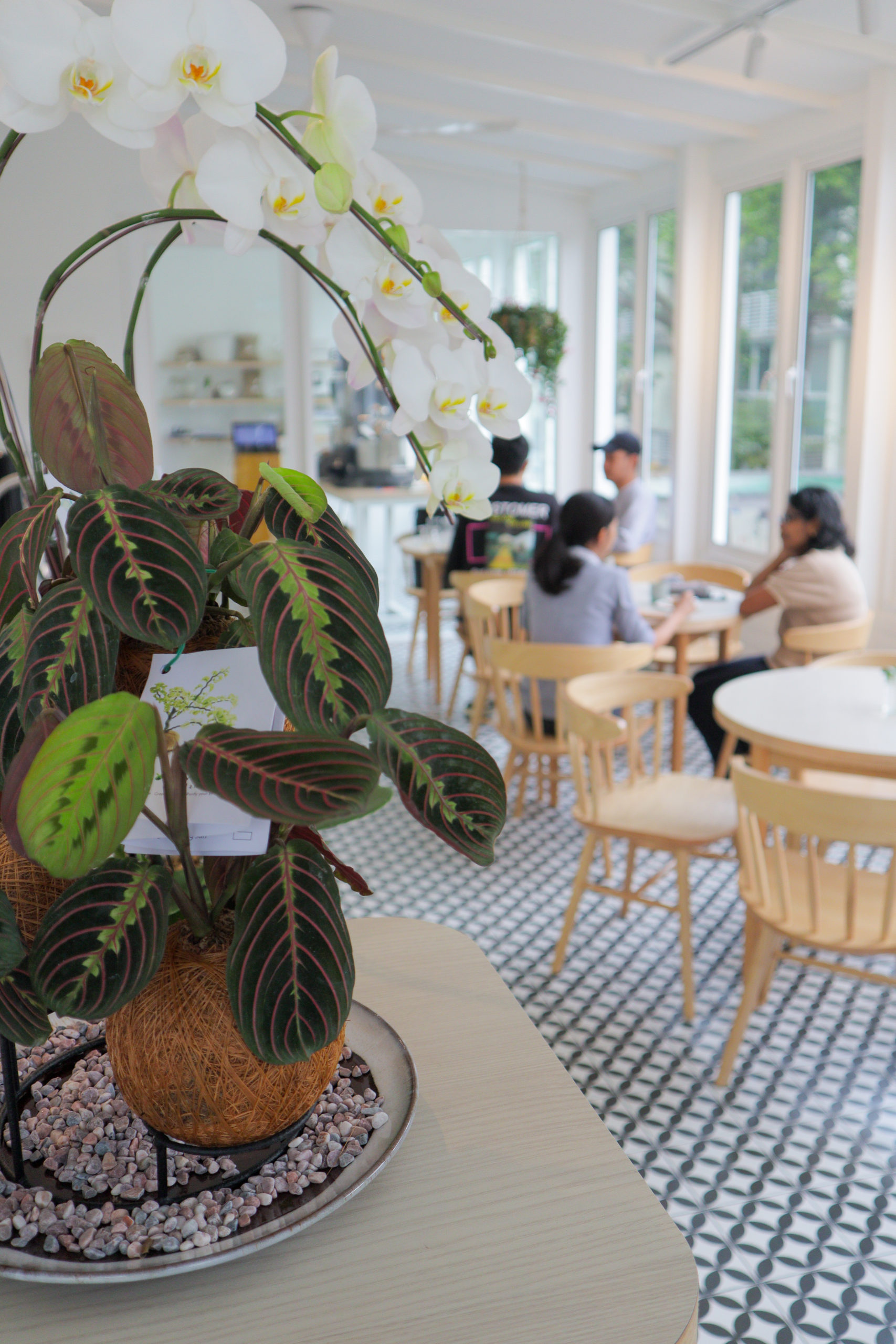 Curio Coffee Roaster & Cafe, Rivercity - Thokohmakan