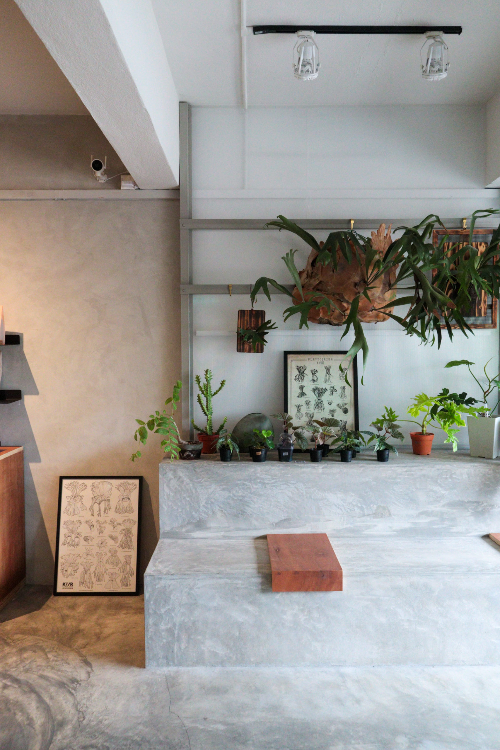 Neutrals, TTDI - Thokohmakan