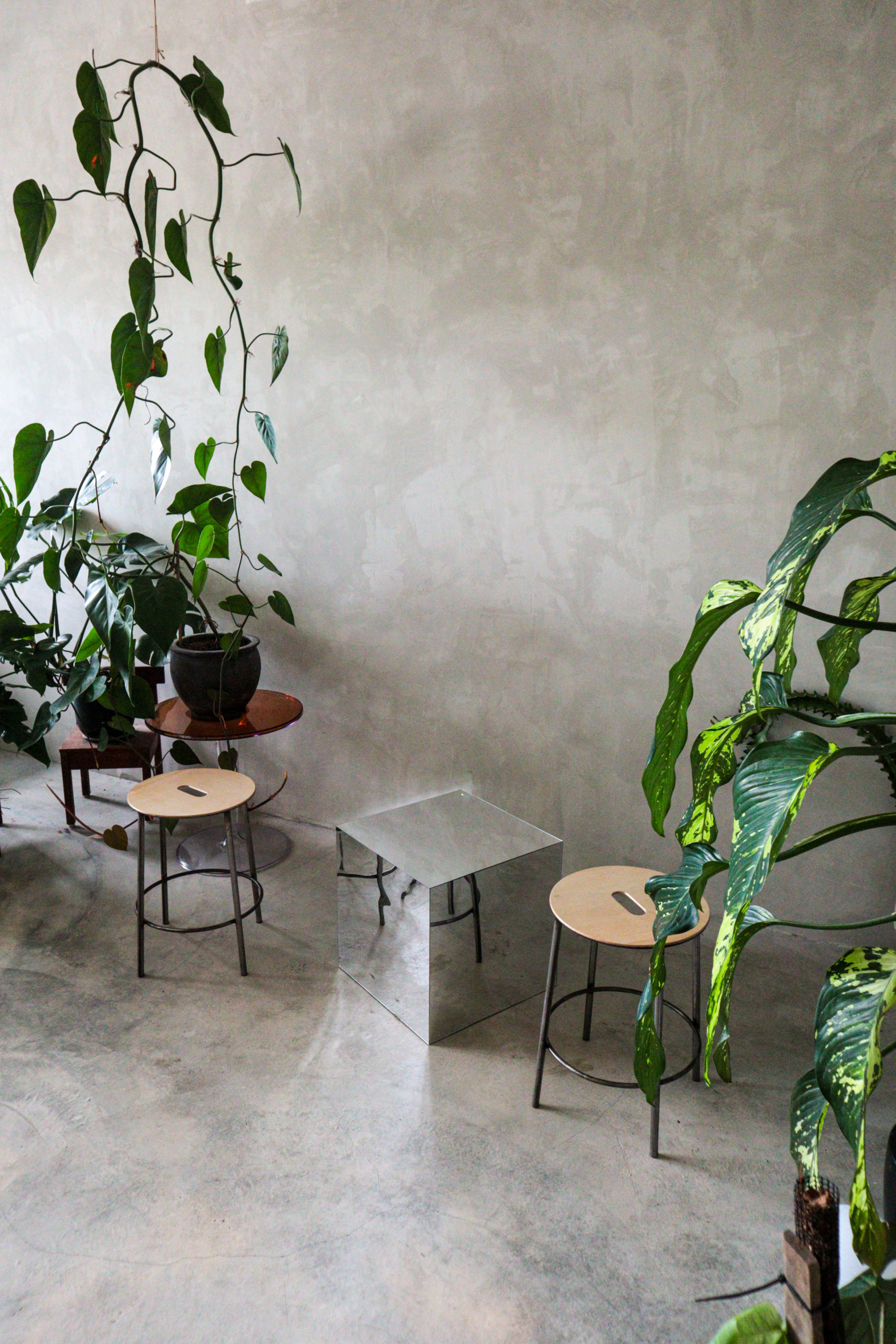 Neutrals, TTDI - Thokohmakan