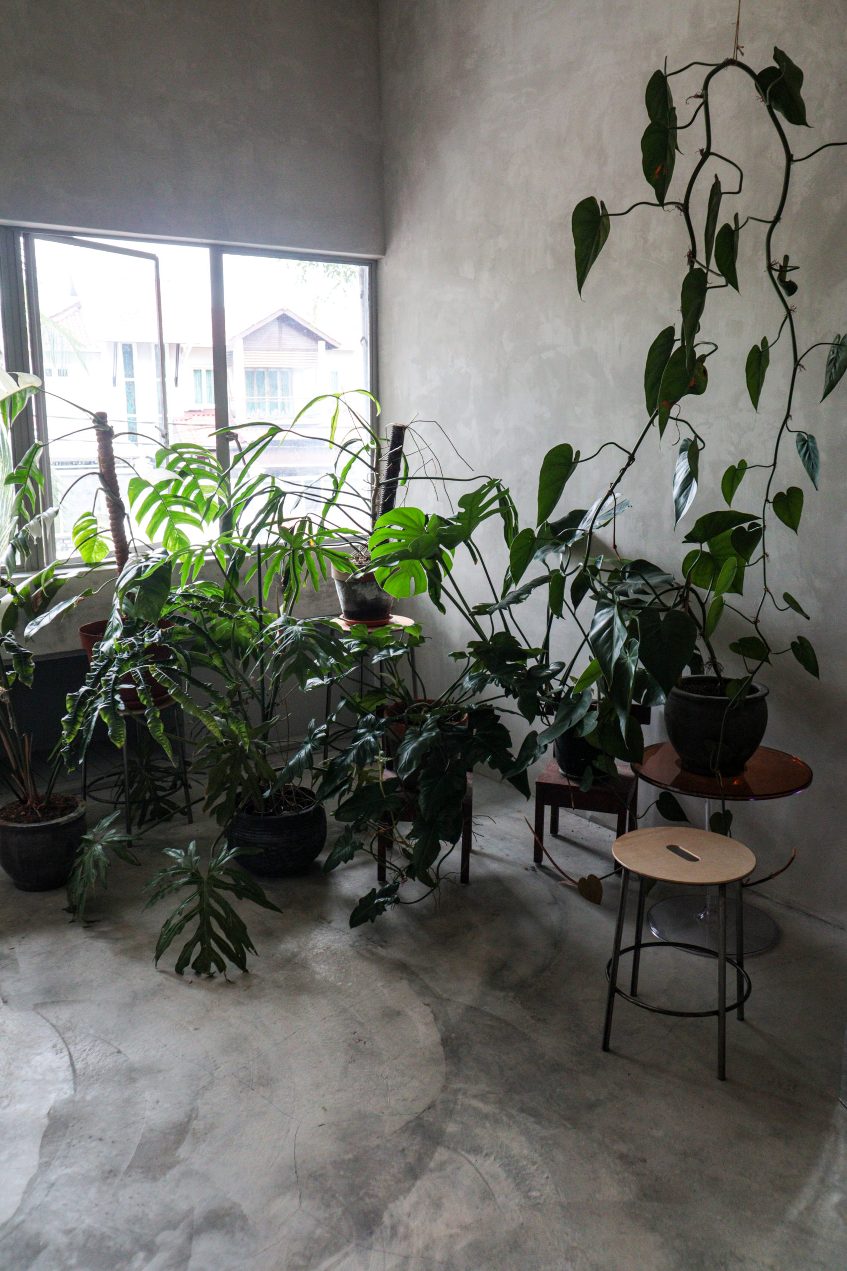 Neutrals, TTDI - Thokohmakan