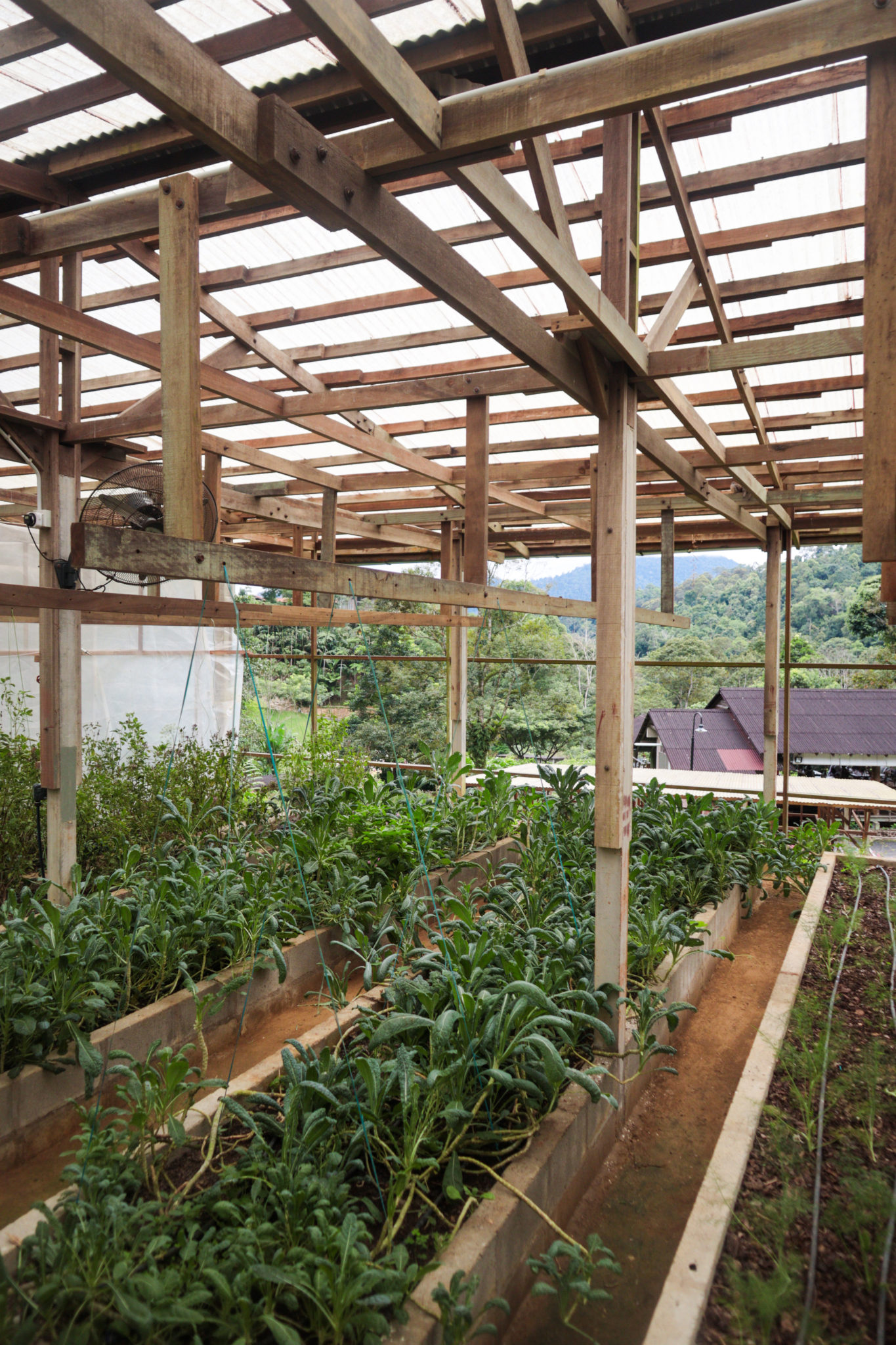 A Little Farm on the Hill - Thokohmakan